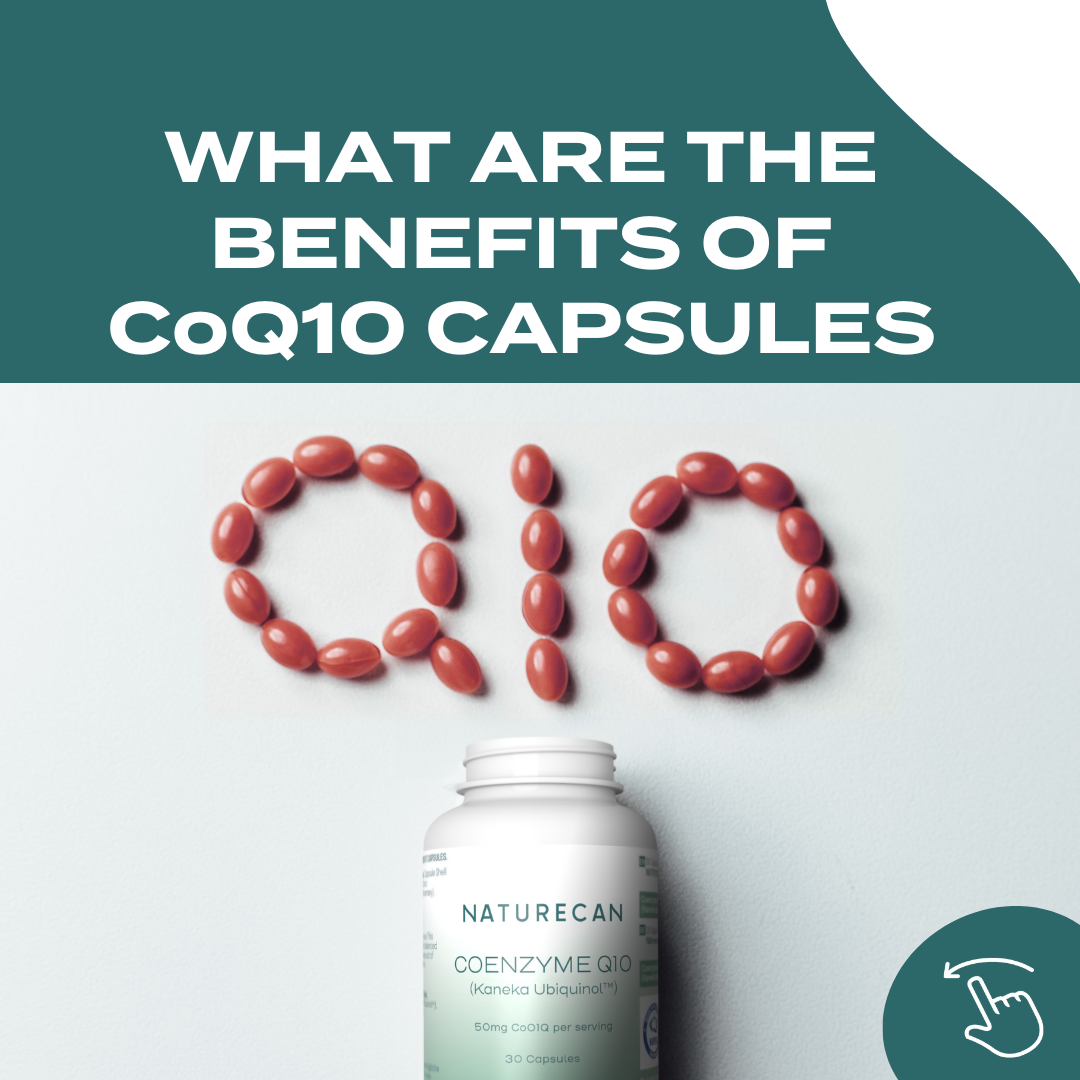 Q10 Capsules | Naturecan Fitness SG